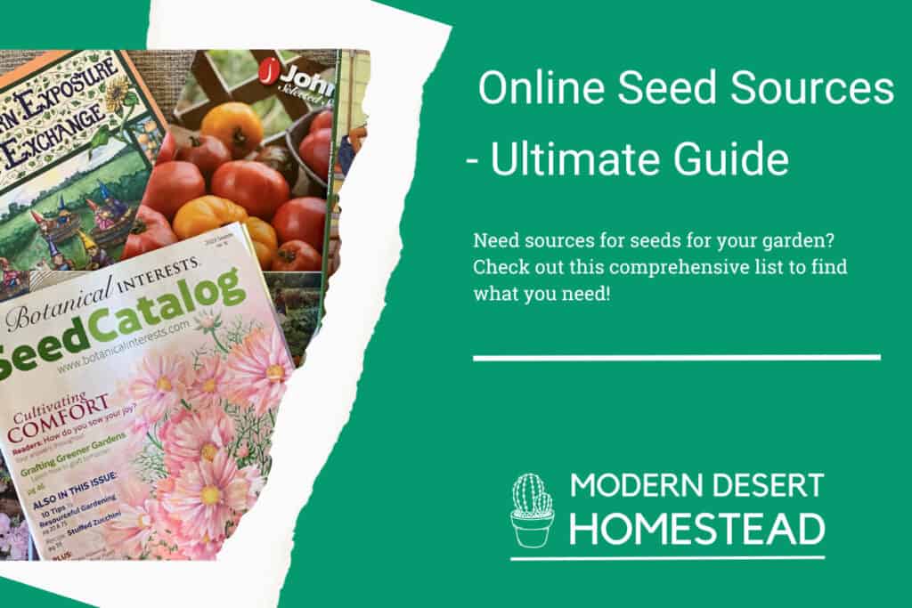 How to create a seed starting setup: 15 Must-haves for better results
