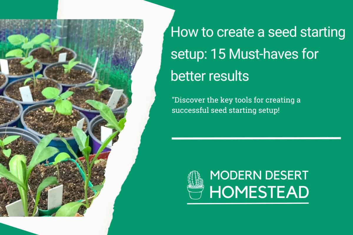 How to create a seed starting setup: 15 Must-haves for better results
