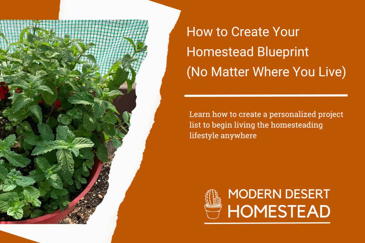 How to Create A Homestead Blueprint (No Matter Where You Live)